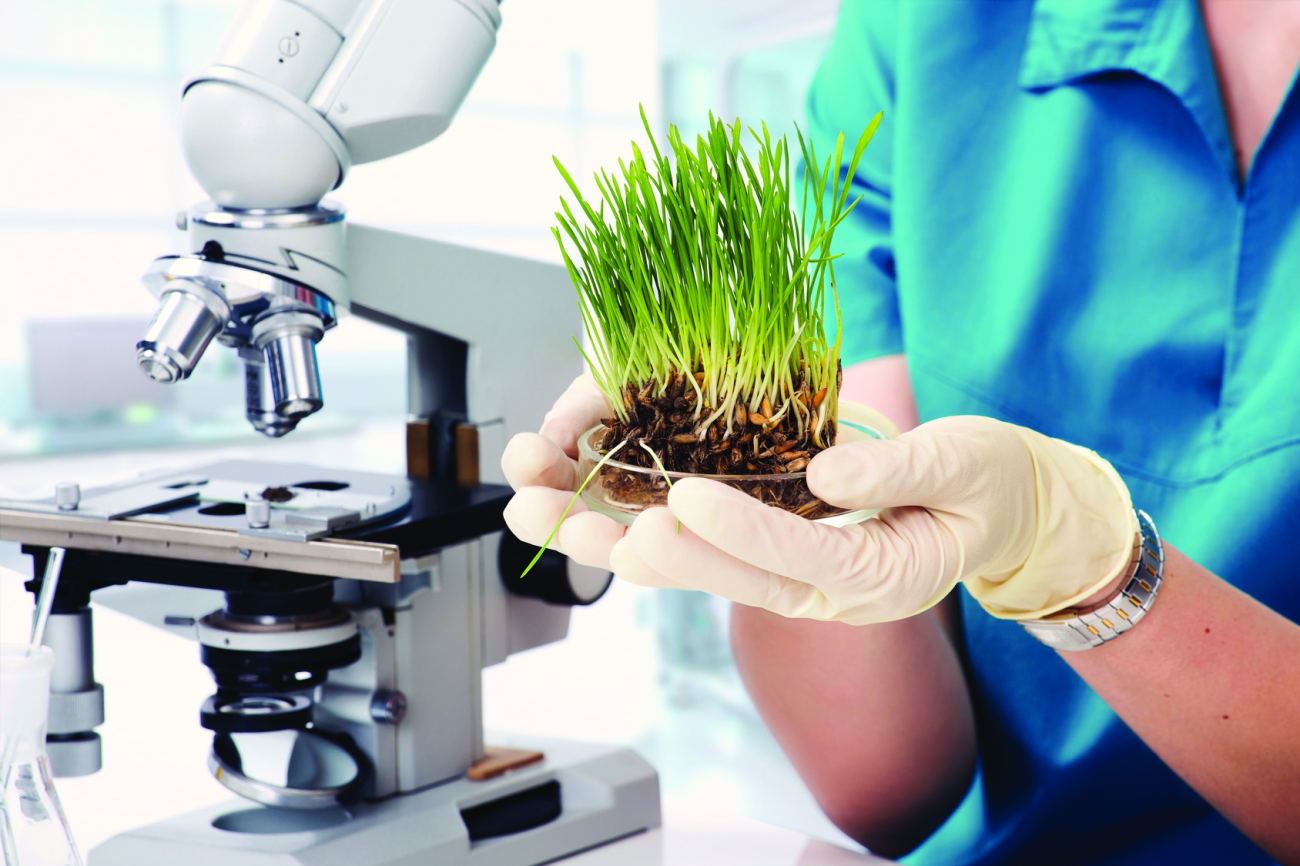 Licence Sciences de la Vie | Université d'Artois